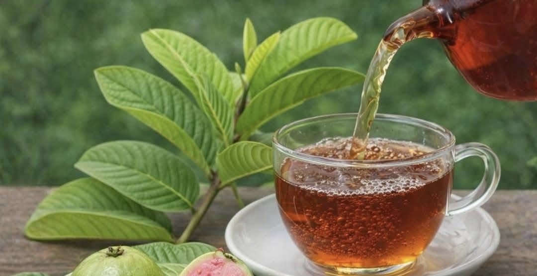Guava Leaf Tea - Slow Cooker Tip